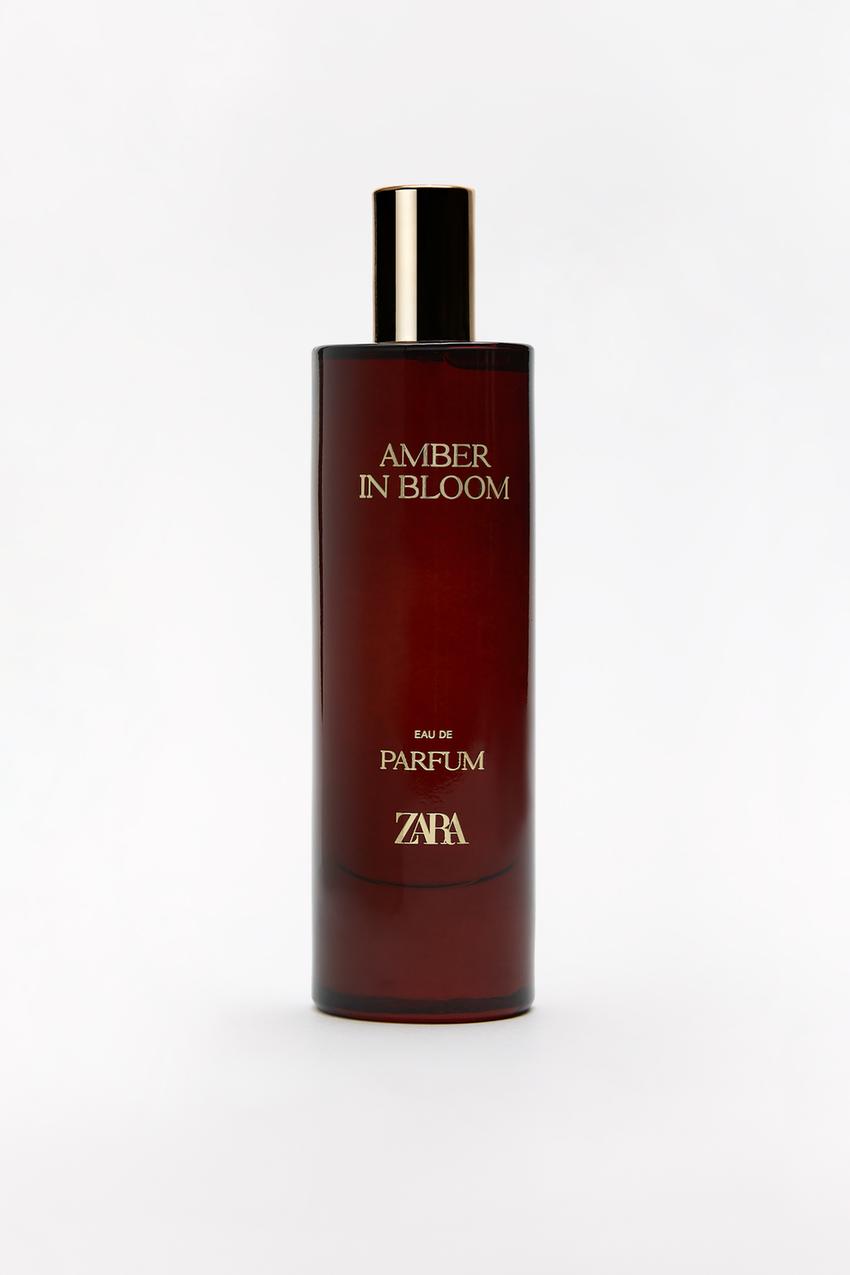 AMBER IN BLOOM (2024) • ZARA • ScentAdvice
