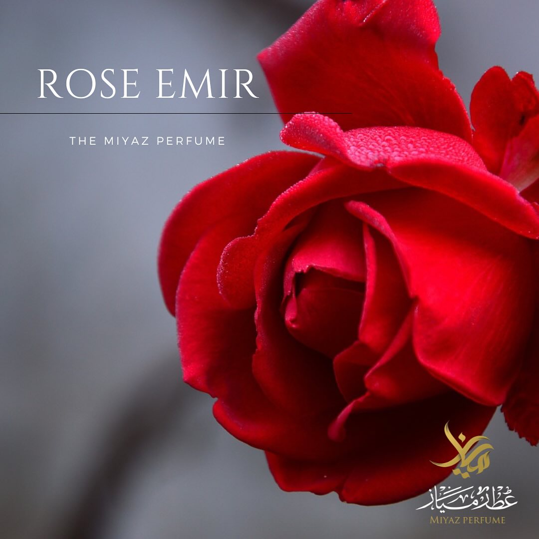 Rose Emir (2024) • MIYAZ PERFUME‎ • ScentAdvice