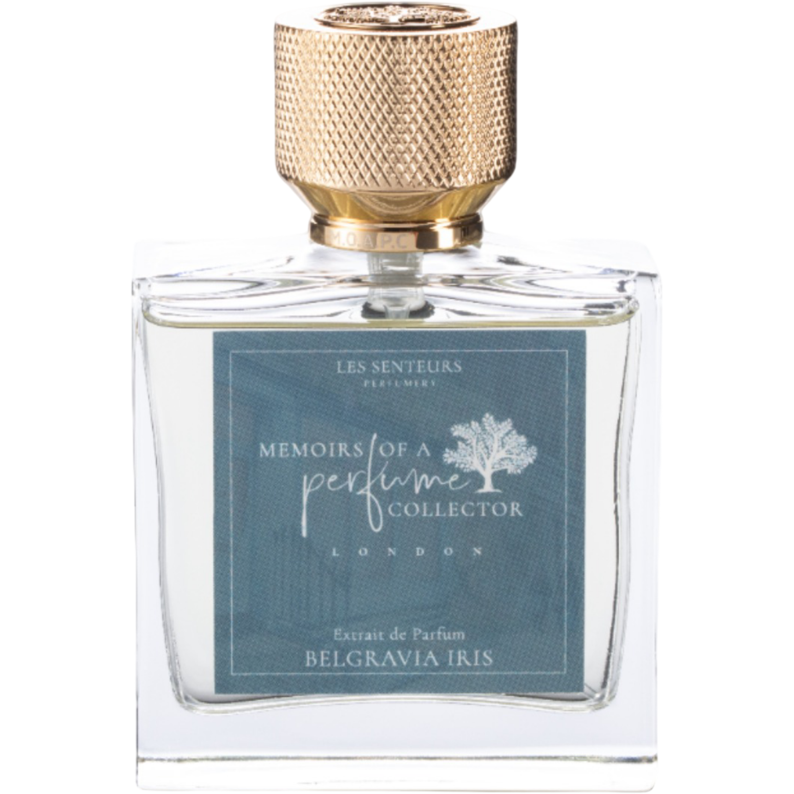 BELGRAVIA IRIS (2025) • MEMOIRS OF A PERFUME COLLECTOR • ScentAdvice
